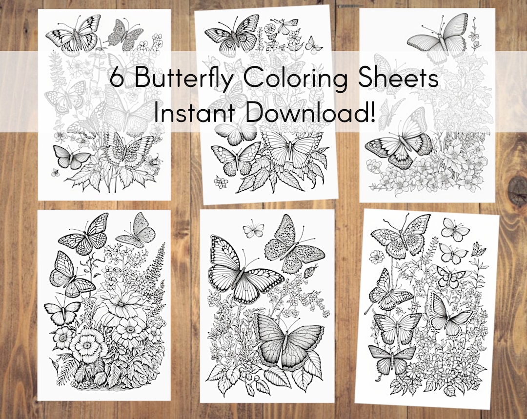 6 Beautiful Butterfly Coloring Pages for Adults and Kids - Etsy Australia