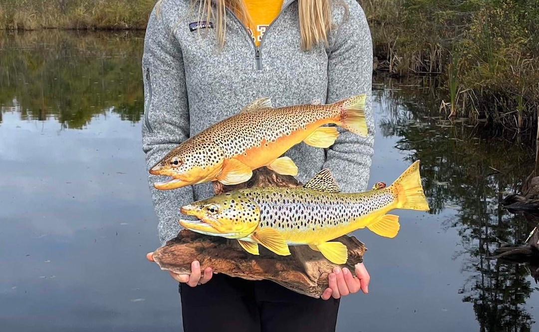 Brown Trout Duo 2D Wall Art Replica -21 Inch Flat Metal Realistic Brown ...