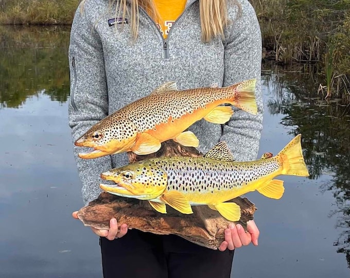 Brown Trout Duo 2D Wall Art Replica -21 Inch Flat Metal Realistic Brown ...