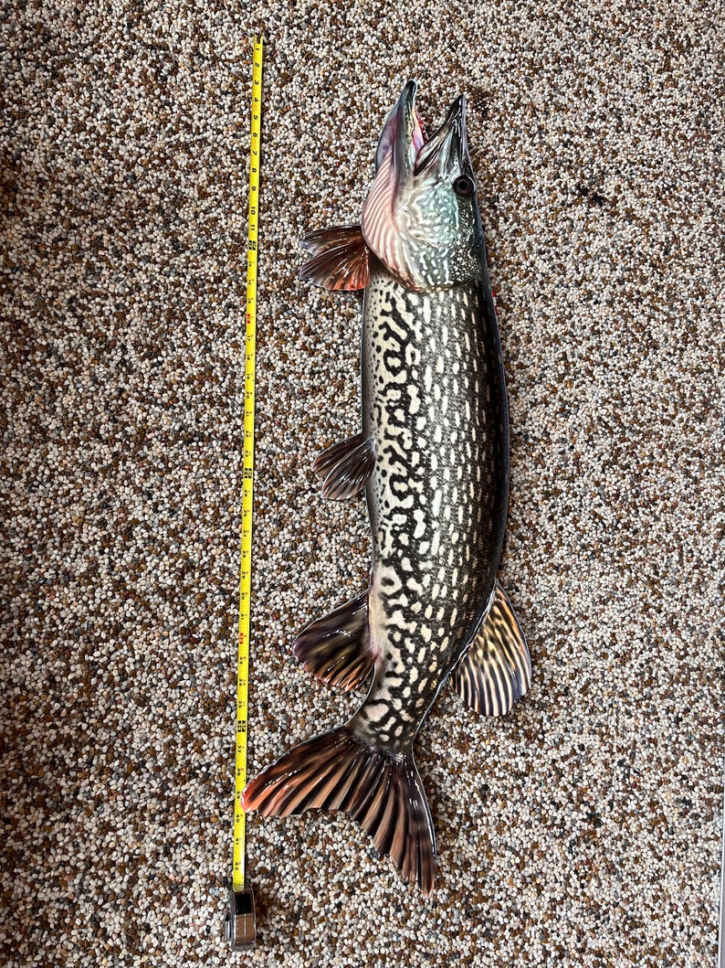 Northern Pike Replica - Metal, Realistic Northern Replica, Lodge Decor ...