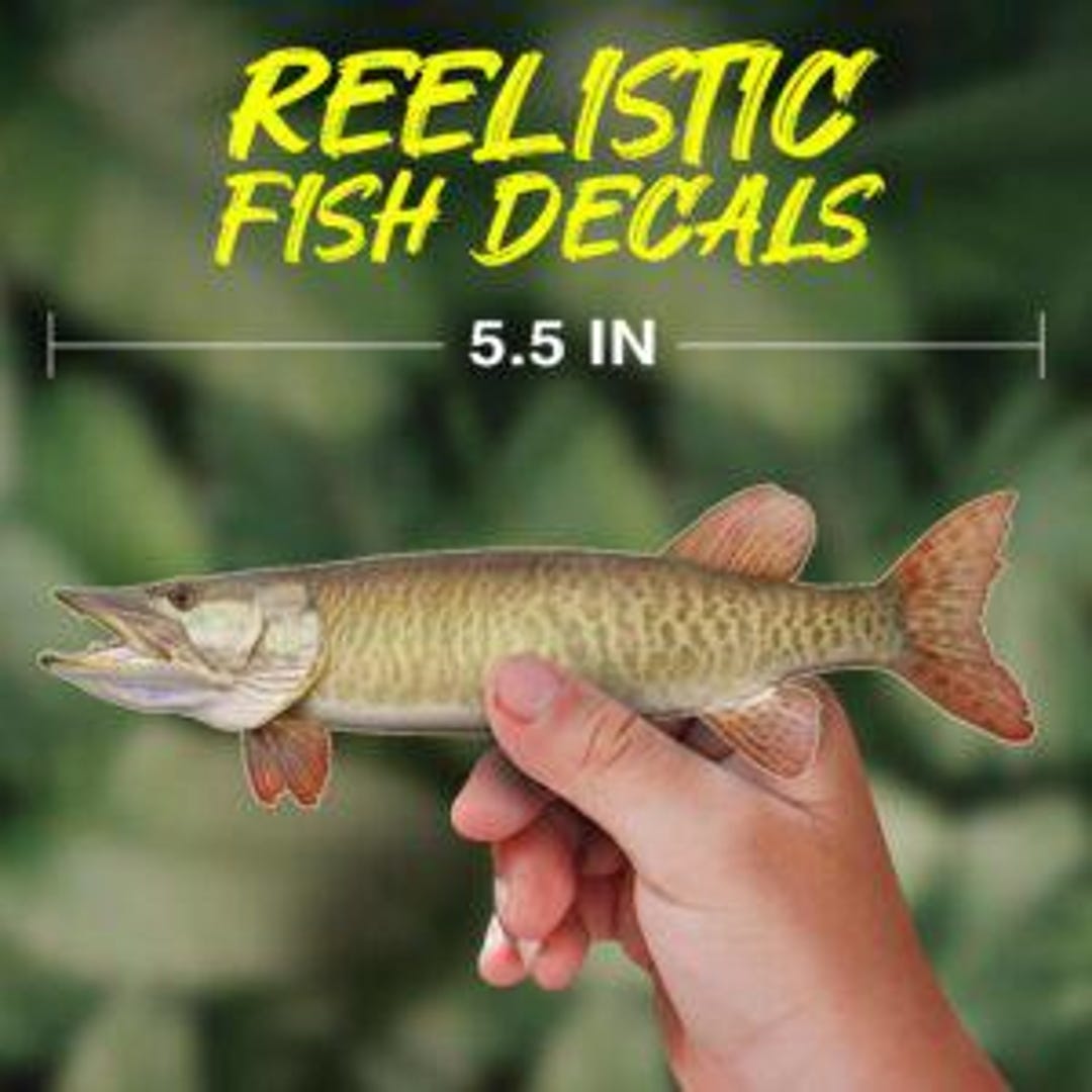 Muskie Fish Decal - Etsy