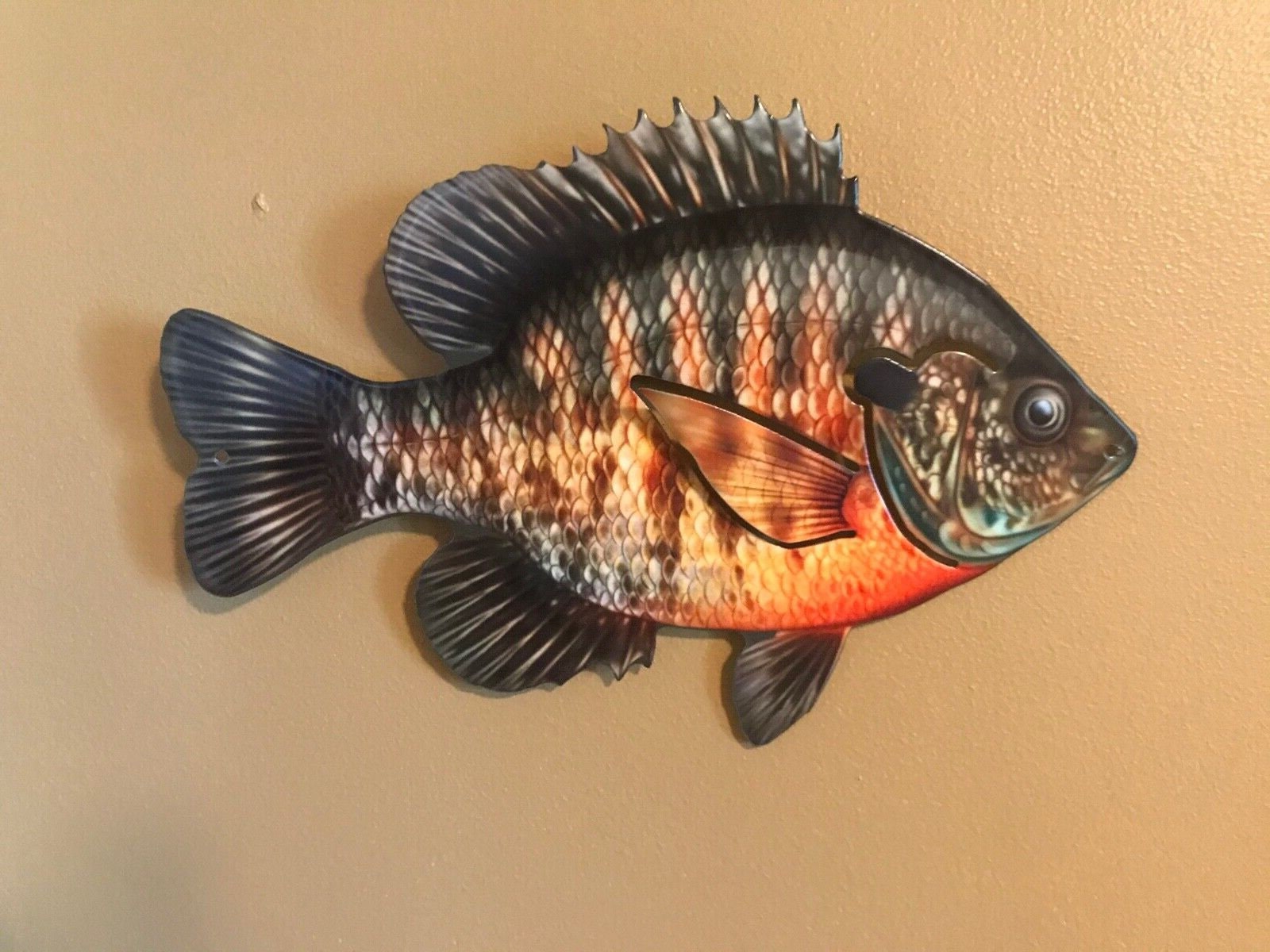 Bluegill Wallpaper