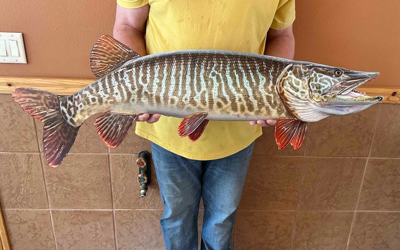 42 Inch Tiger Musky 2D Fish Mount Wall Replica - Flat Metal, Realistic ...
