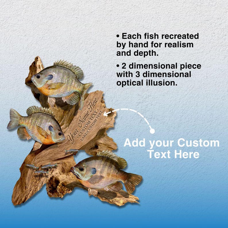 Personalized Bluegill Replica Driftwood Scene Fishing Gift for Him, 2D ...