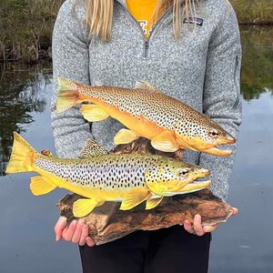 Brown Trout Duo 2D Wall Art Replica -21 Inch Flat Metal Realistic Brown ...