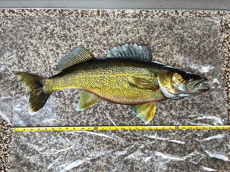 Walleye Replica - 30 Inch 2D Metal Walleye Fish Art Replica, Faux ...