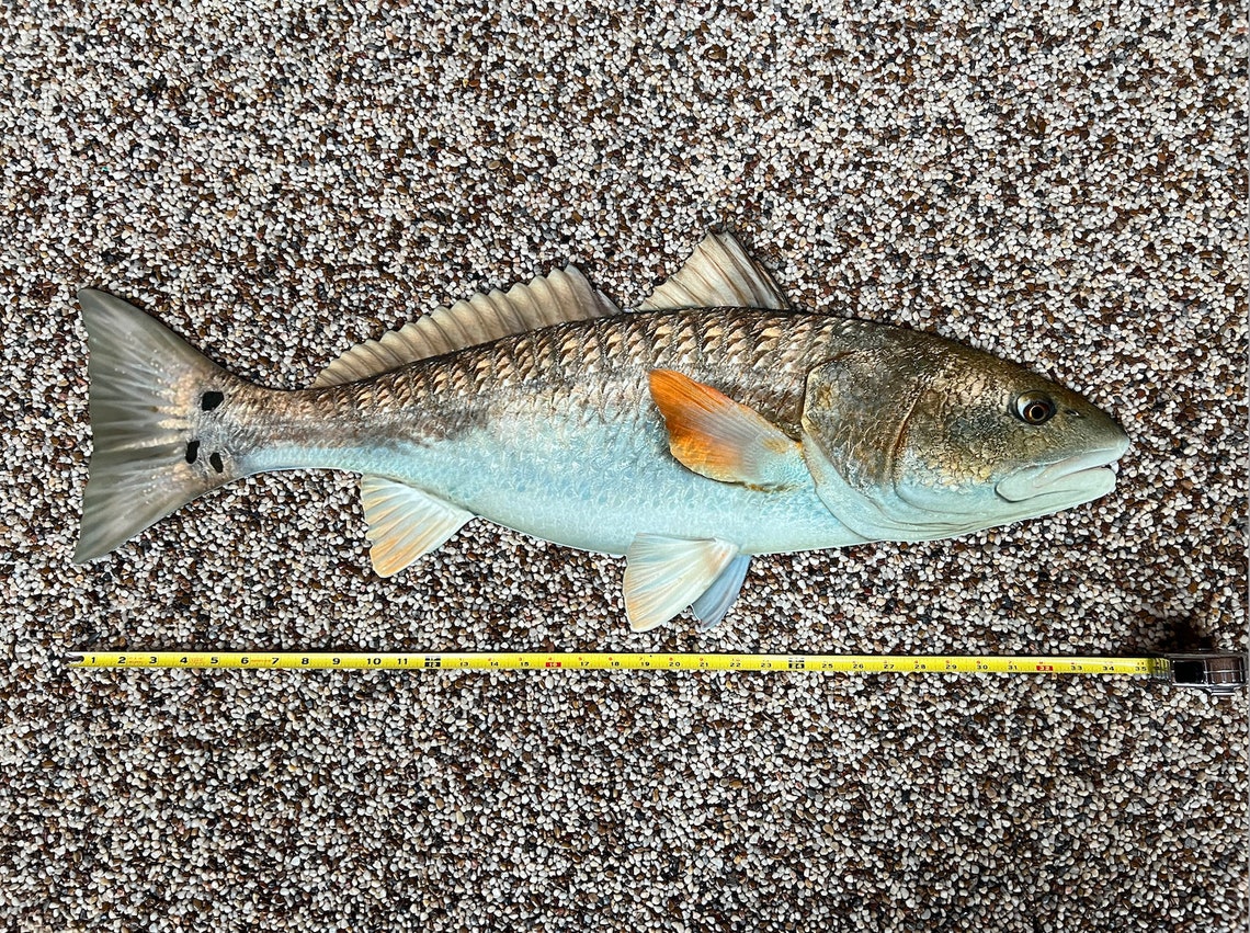 Redfish Replica - 2D Flat Metal, Realistic Red Drum Fish Art, Nautical ...
