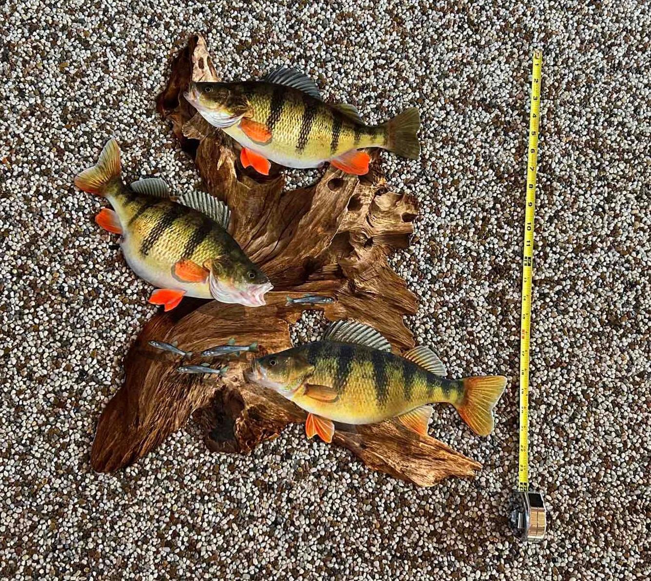 Perch Replica Trio Wall Art - 24 Inch Realistic 2D (flat) Metal Perch ...