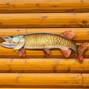 42 Inch Musky Replica, Metal, Musky Fish Mounts for Sale, Musky Replica ...