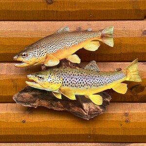 Brown Trout Duo 2D Wall Art Replica -21 Inch Flat Metal Realistic Brown ...