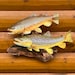 Brown Trout Duo 2D Wall Art Replica -21 Inch Flat Metal Realistic Brown ...