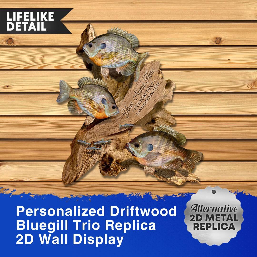 Personalized Bluegill Replica Driftwood Scene Fishing Gift for Him, 2D ...