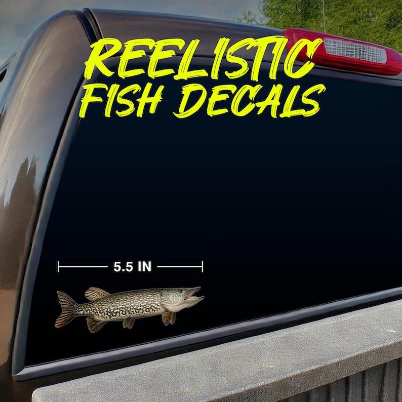 Northern Pike Fish Decal - Etsy