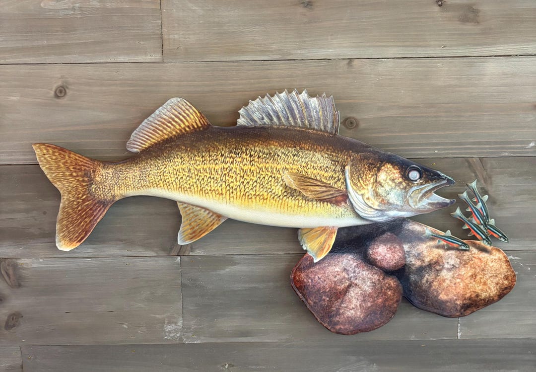 Walleye Replica Mount - 24 Inch Walleye Replica Scene, Fish Art, Cabin ...
