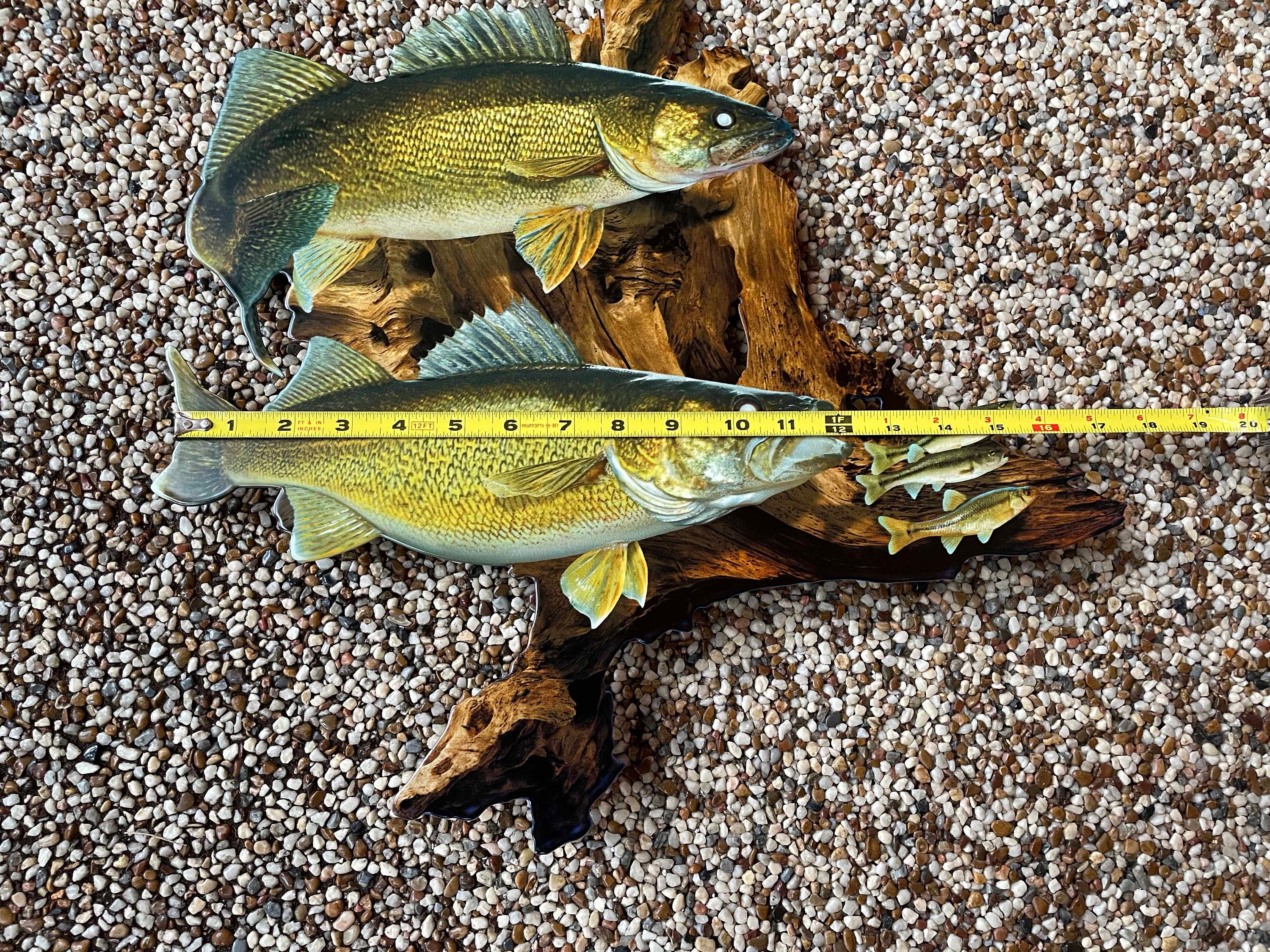 Walleye Replica Duo Wall Art - Realistic 2D Metal Walleye Driftwood ...