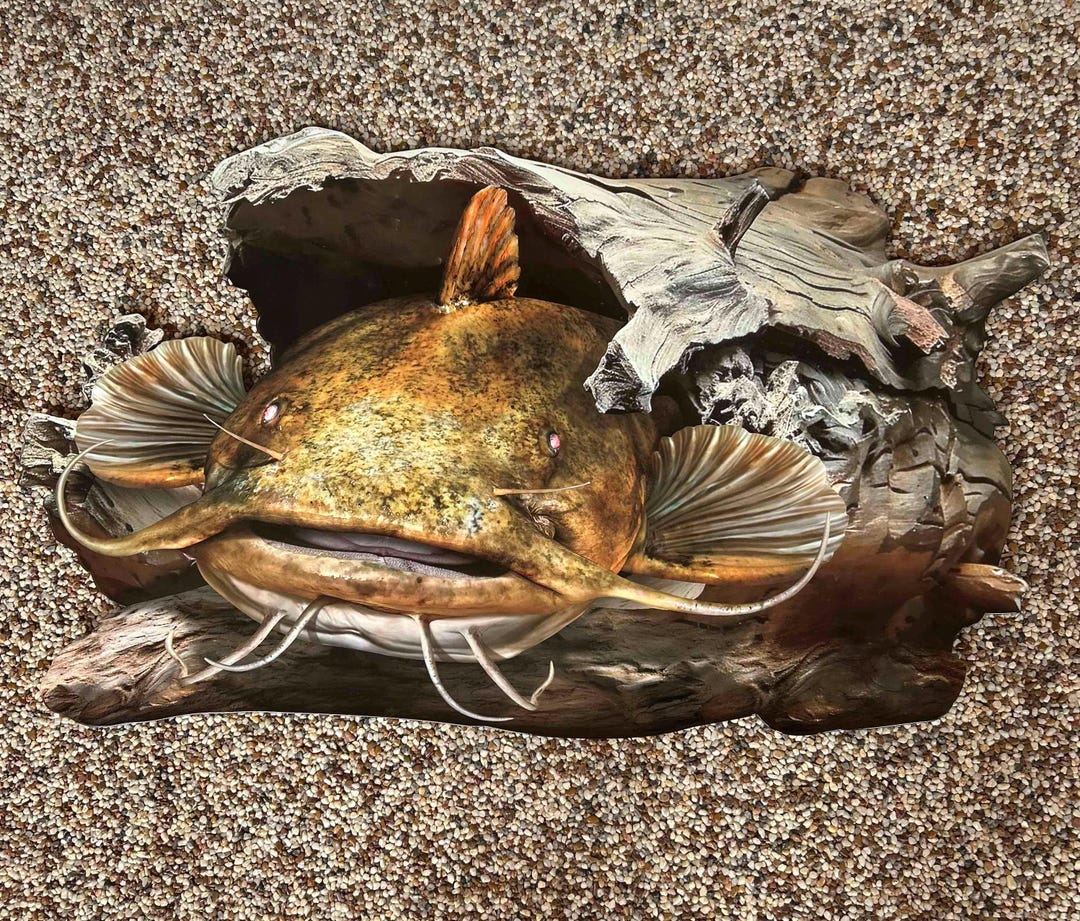 Flathead Catfish Log Replica (flat) Metal Wall Art Display - Etsy