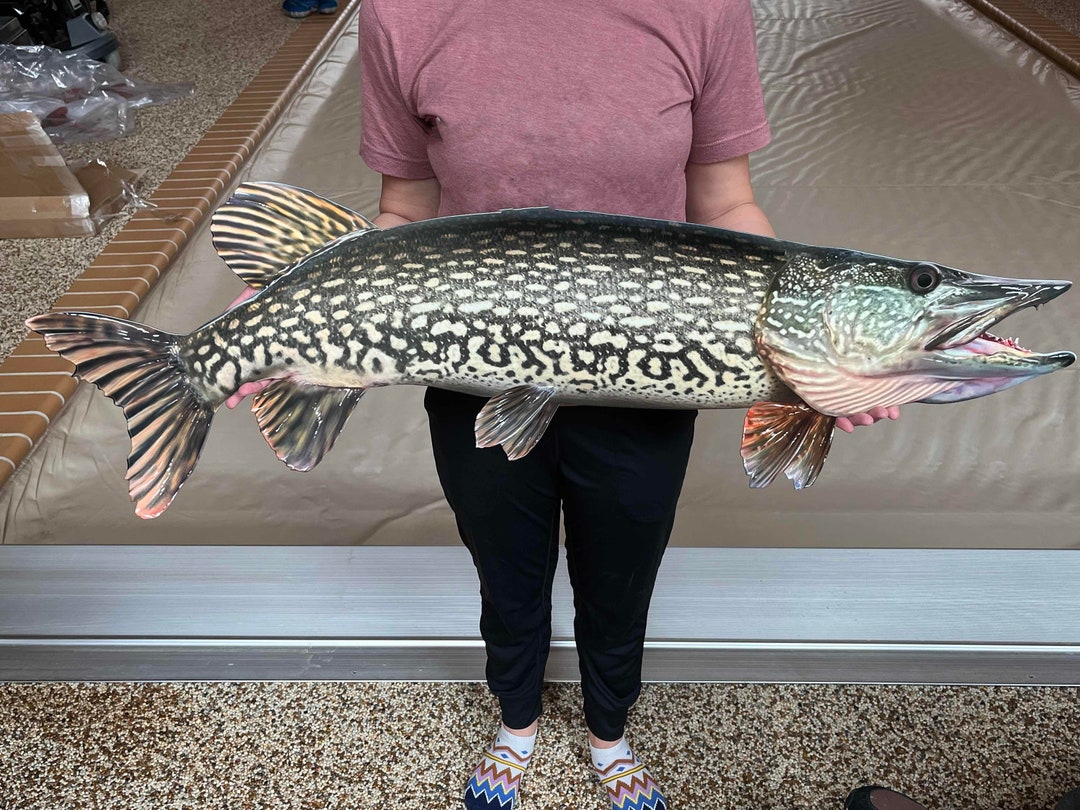 Northern Pike Replica Metal Realistic Northern Replica - Etsy