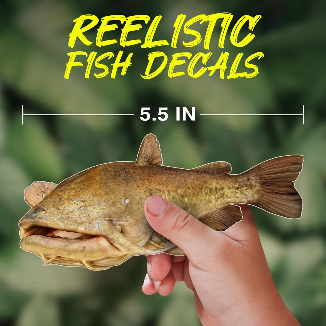 Flathead Catfish Fish Decal – Realistic Waterproof Vinyl Sticker for ...