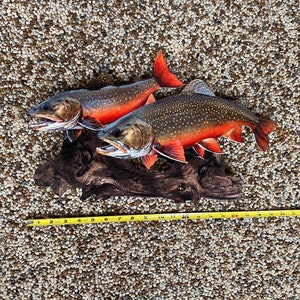 Brook Trout Replica Duo Wall Art -19 Inch Realistic 2D (flat) Metal ...