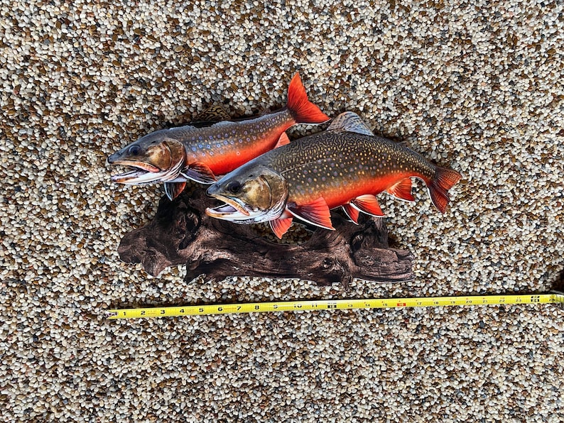 Brook Trout Replica Duo Wall Art -19 Inch Realistic 2D (flat) Metal ...