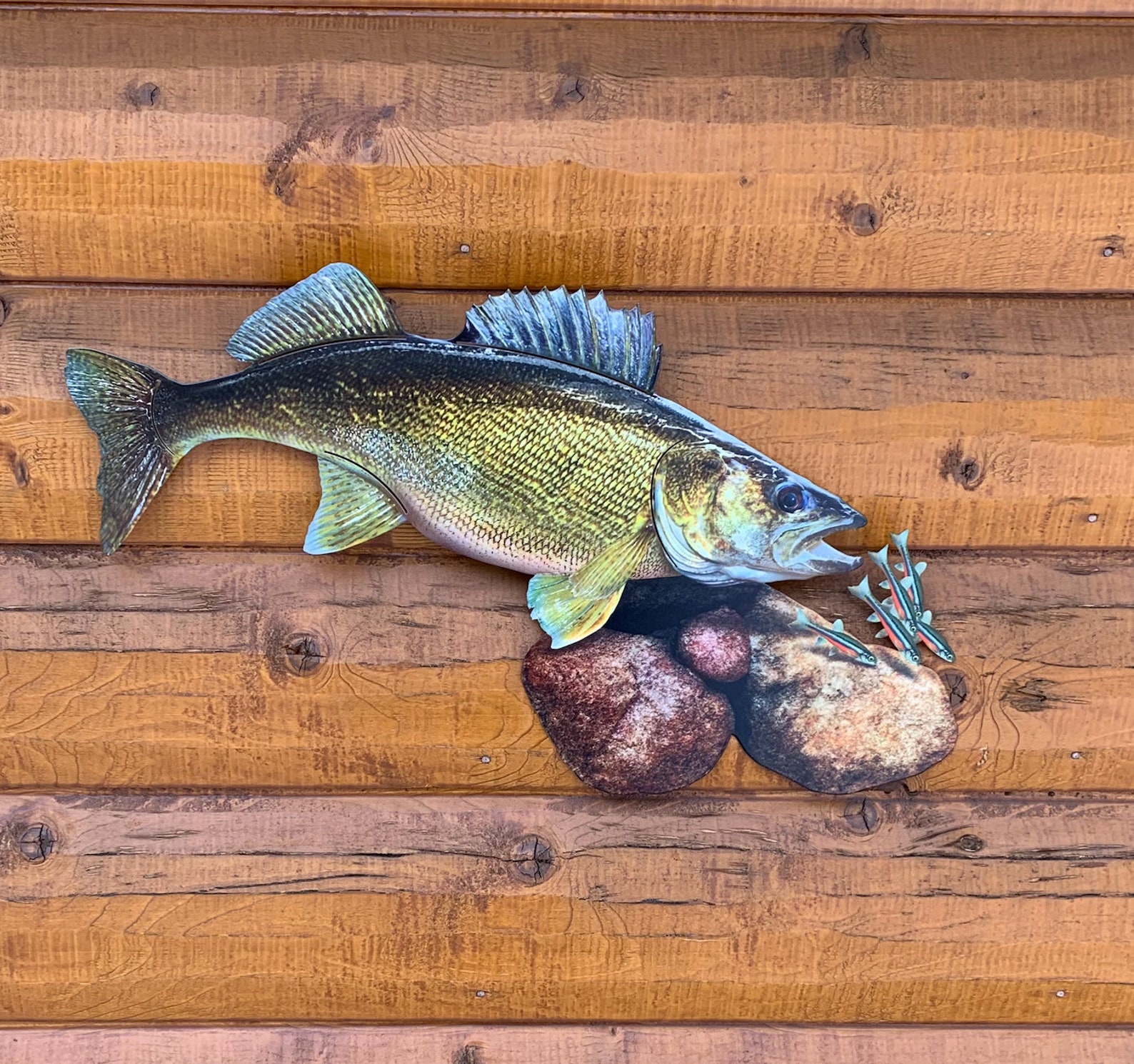 Walleye Replica Mount 24 Inch Walleye Replica Scene Fish - Etsy