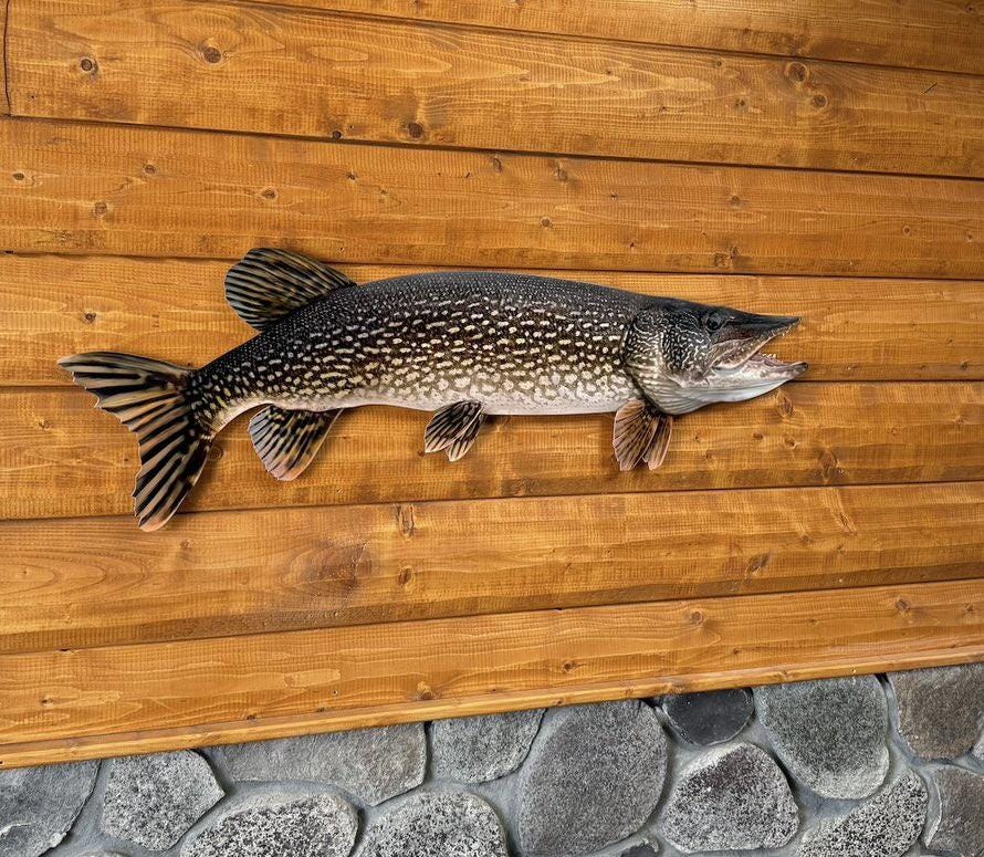 Northern Pike Replica - Metal, Realistic Northern Replica, Lodge Decor ...