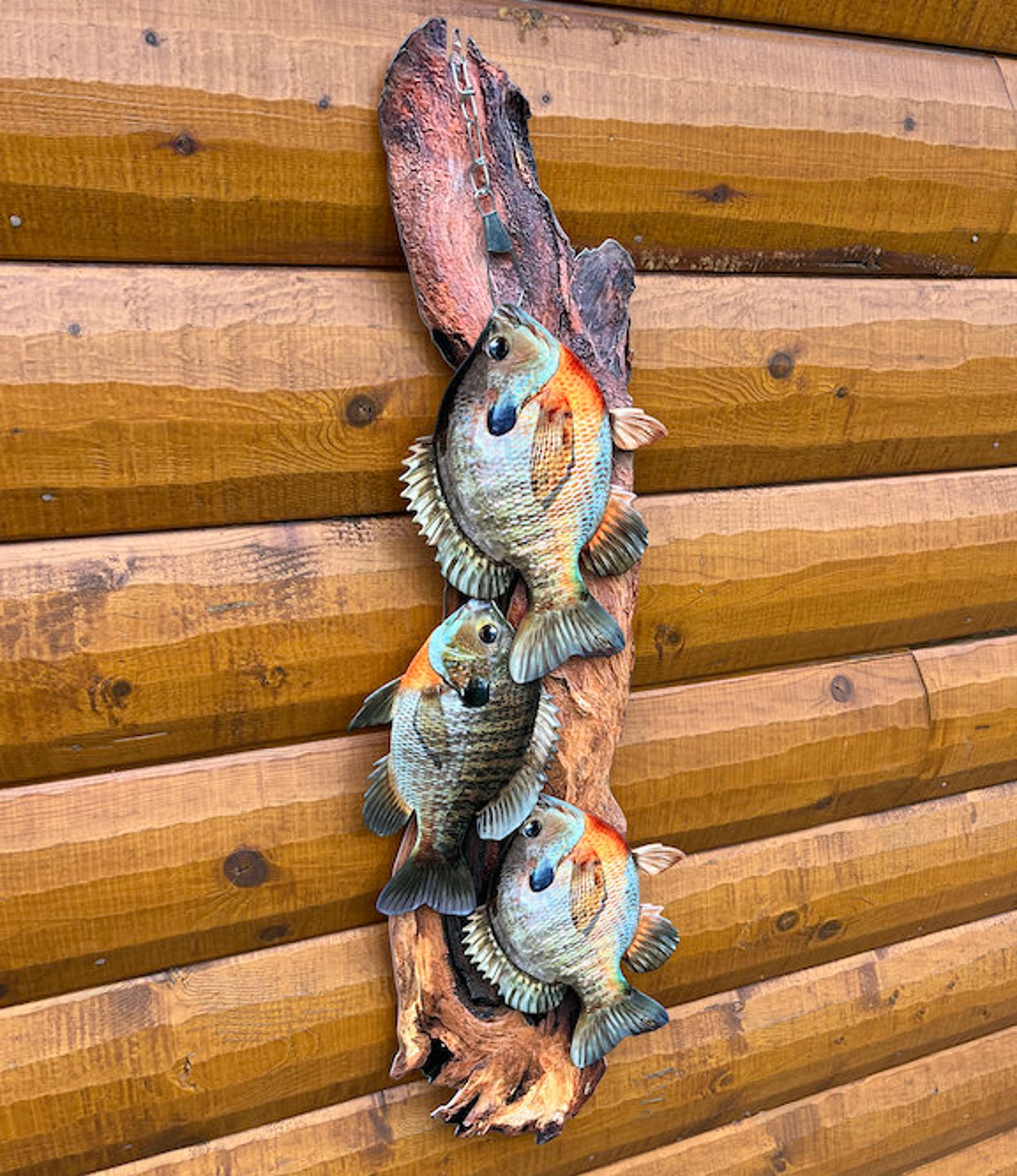 Bluegill Stringer Mount Layered Flat 2D Metal of 10.5-11 Inch Bluegills ...