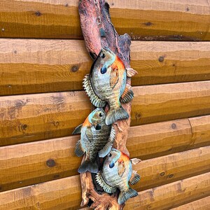 Bluegill Stringer Mount Layered Flat 2D Metal of 10.5-11 Inch Bluegills ...