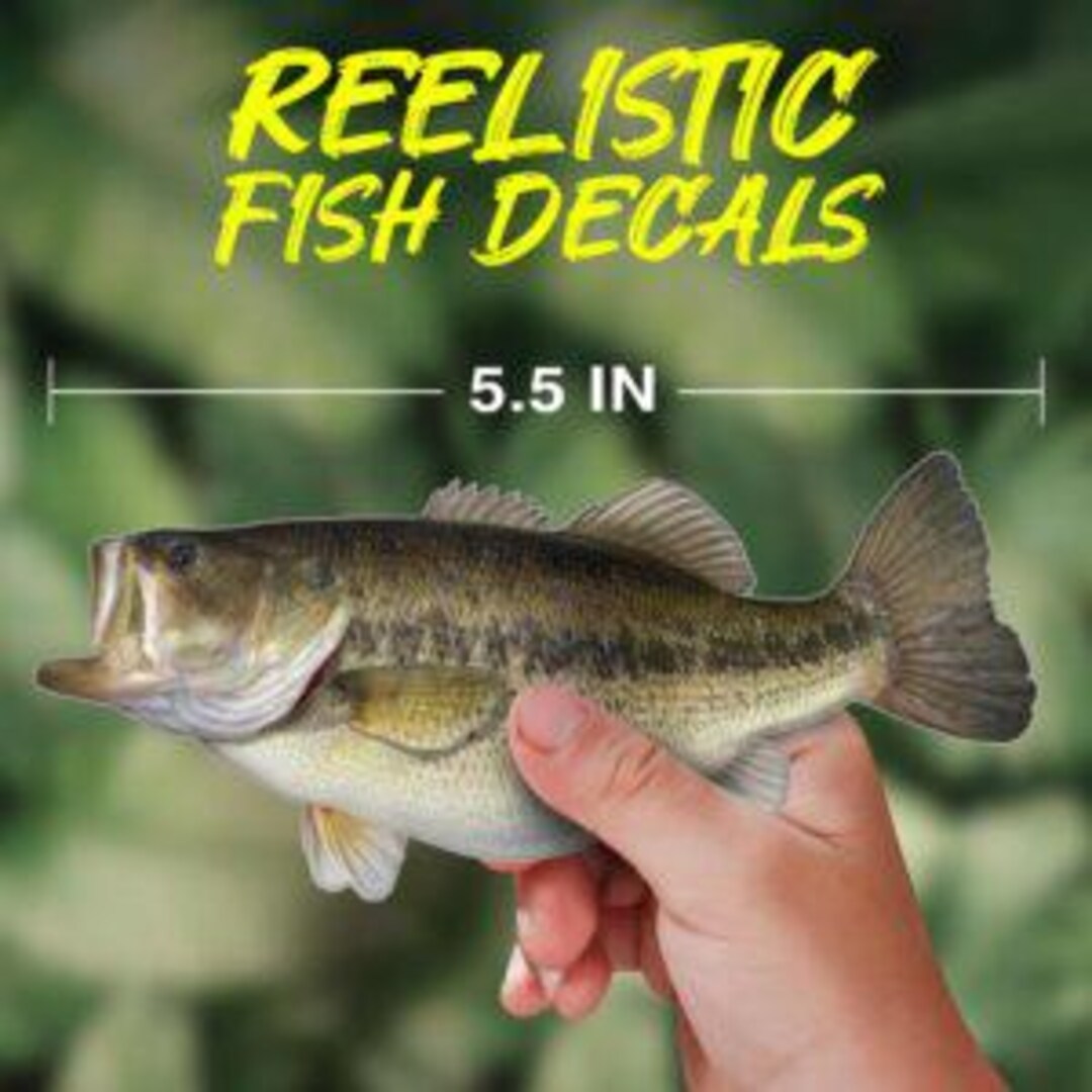 Largemouth Bass Fish Decal - Etsy