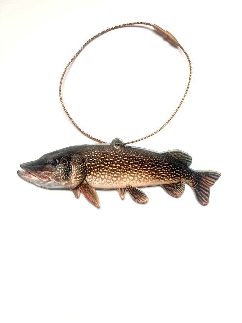 Realistic Northern Pike Fish Ornament - Fishing Gift for Anglers and ...