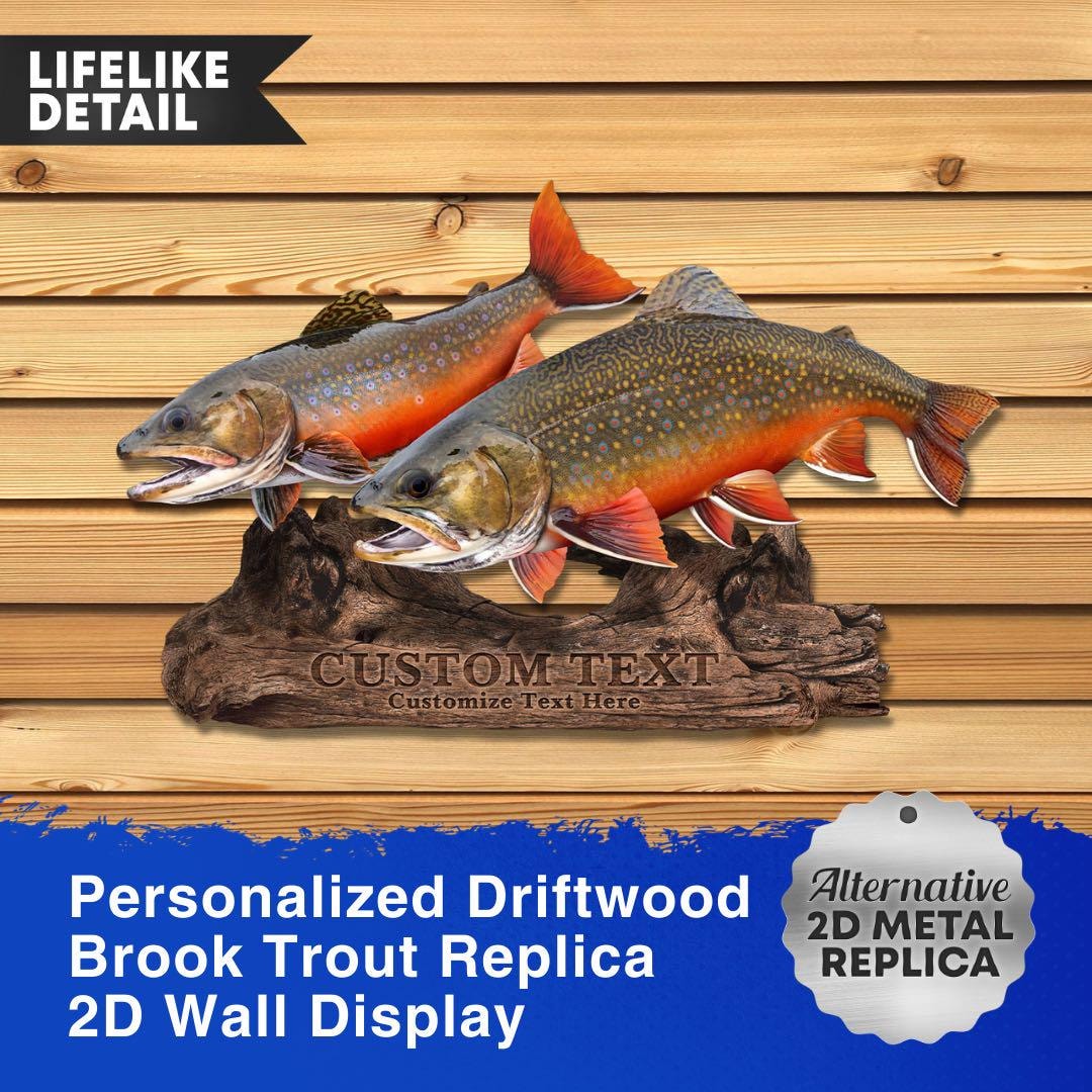 Brook Trout Replica Duo Wall Art -19 Inch Realistic 2D Metal Brook ...