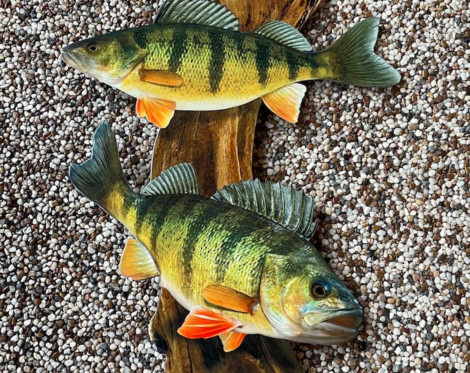 Perch Replica Duo Wall Art - 19 Inch T Realistic 2D Metal Perch ...