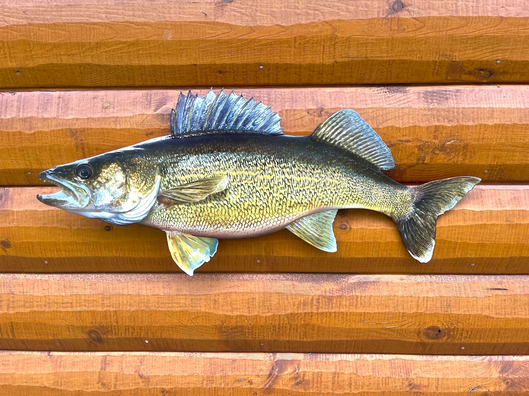 Walleye Replica - 30 Inch 2D Metal Walleye Fish Art Replica, Faux ...