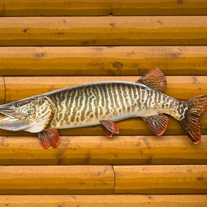 Tiger Musky Replica Wall Art - 52 Inch Metal, Realistic Musky Rustic ...