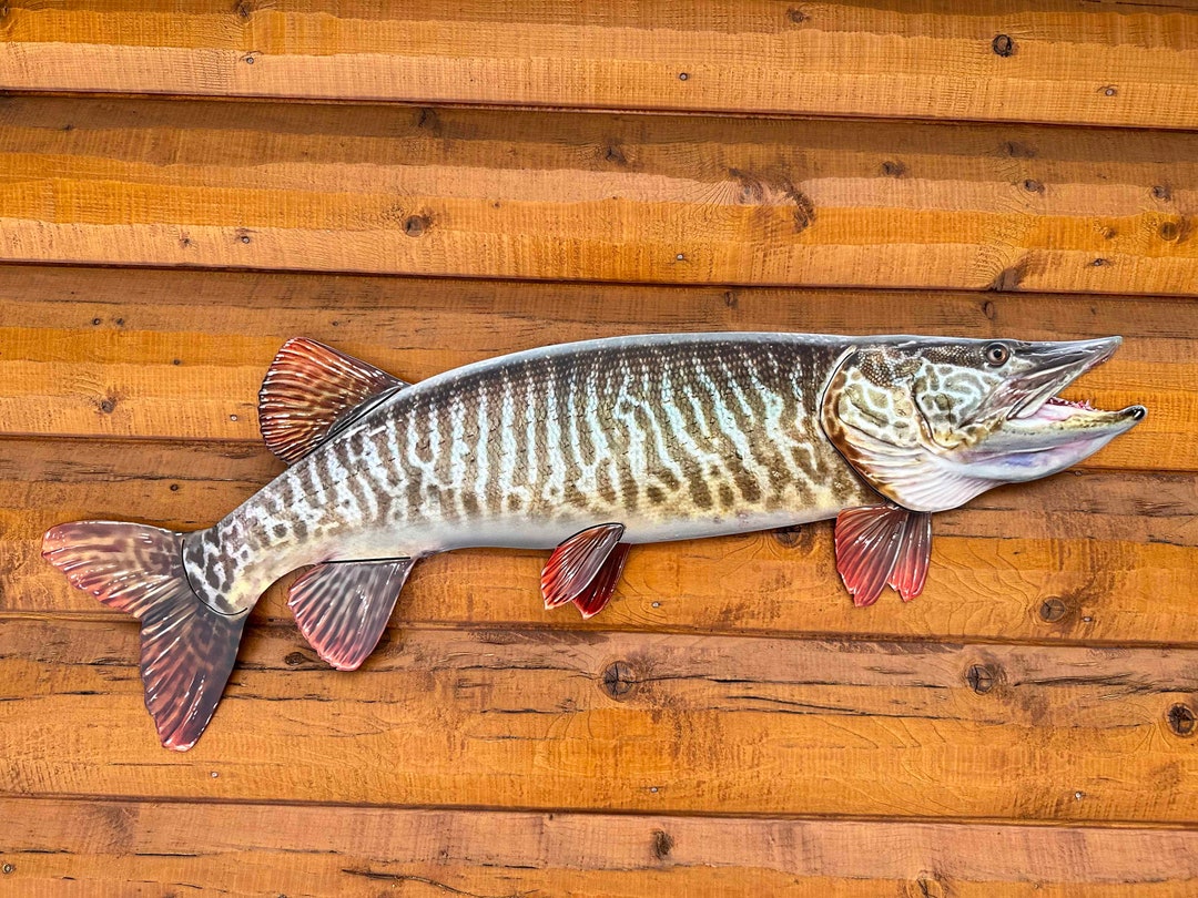 42 Inch Tiger Musky 2D Fish Mount Wall Replica - Flat Metal, Realistic ...