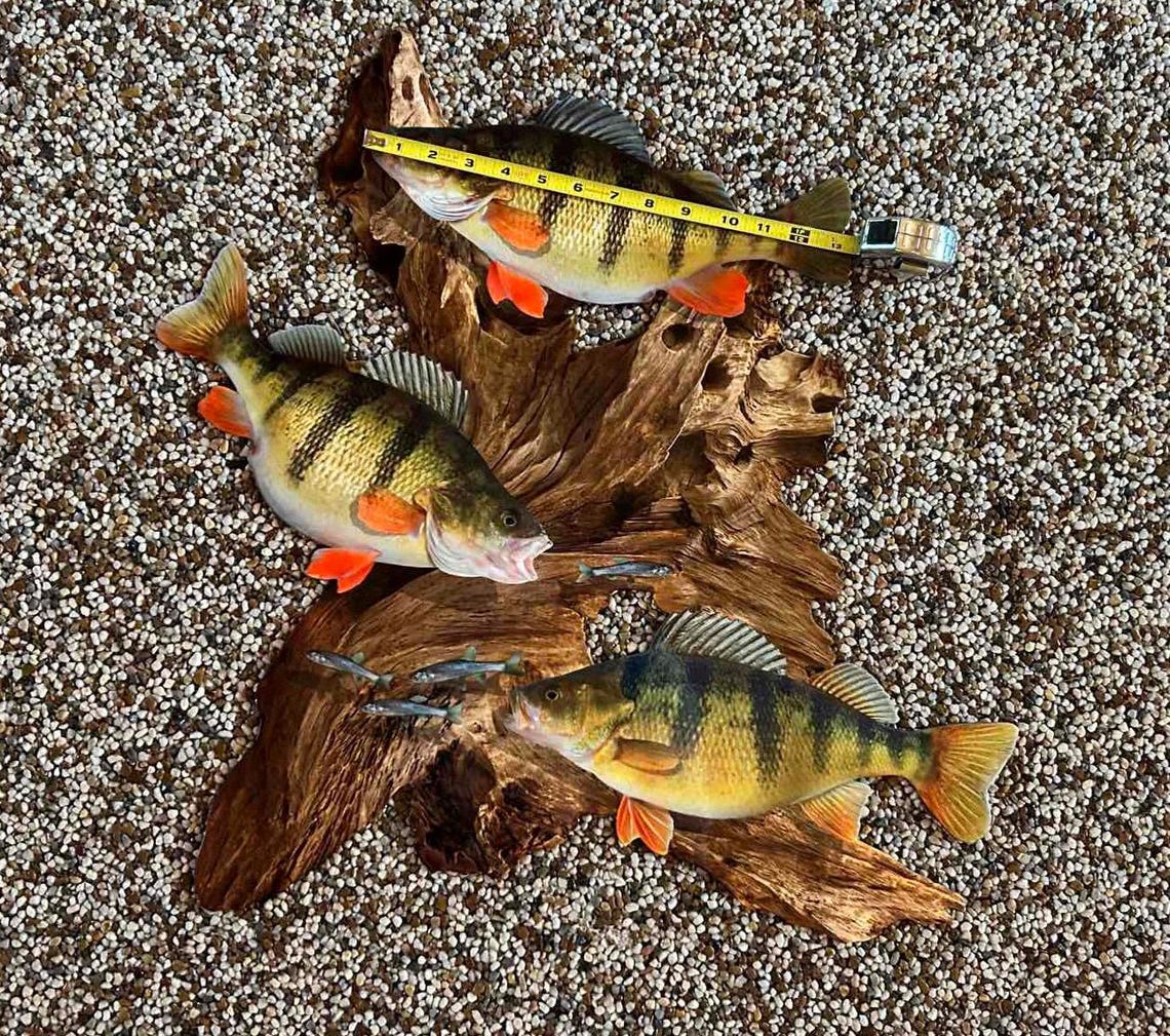 Perch Replica Trio Wall Art - 24 Inch Realistic 2D (flat) Metal Perch ...