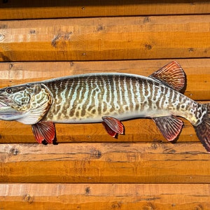 42 Inch Tiger Musky 2D Fish Mount Wall Replica - Flat Metal, Realistic ...
