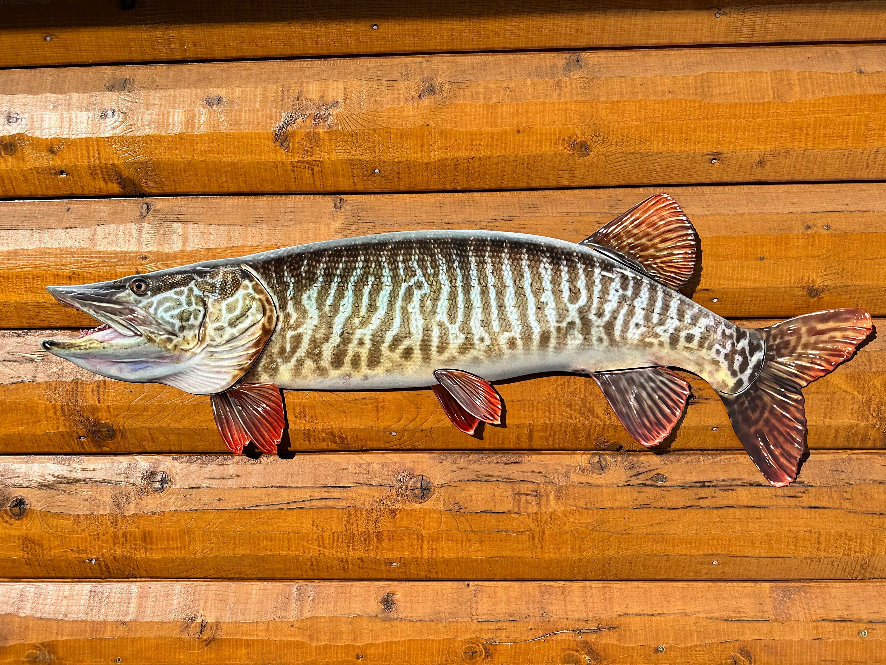 42 Inch Metal Tiger Musky – Realistic Fish Wall Mount, Cabin Decor - Etsy