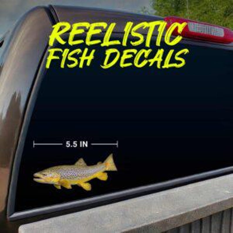 Brown Trout Fish Decal - Etsy