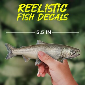 King Salmon Fish Decal – Realistic Waterproof Vinyl Sticker for Boats ...