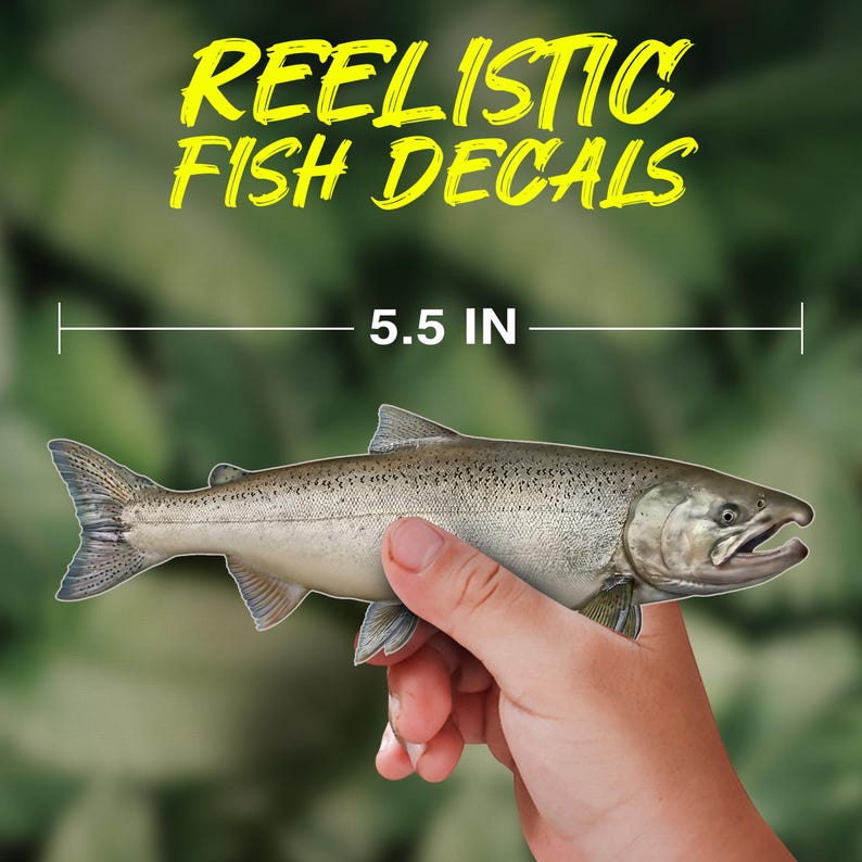 King Salmon Fish Decal – Realistic Waterproof Vinyl Sticker for Boats ...