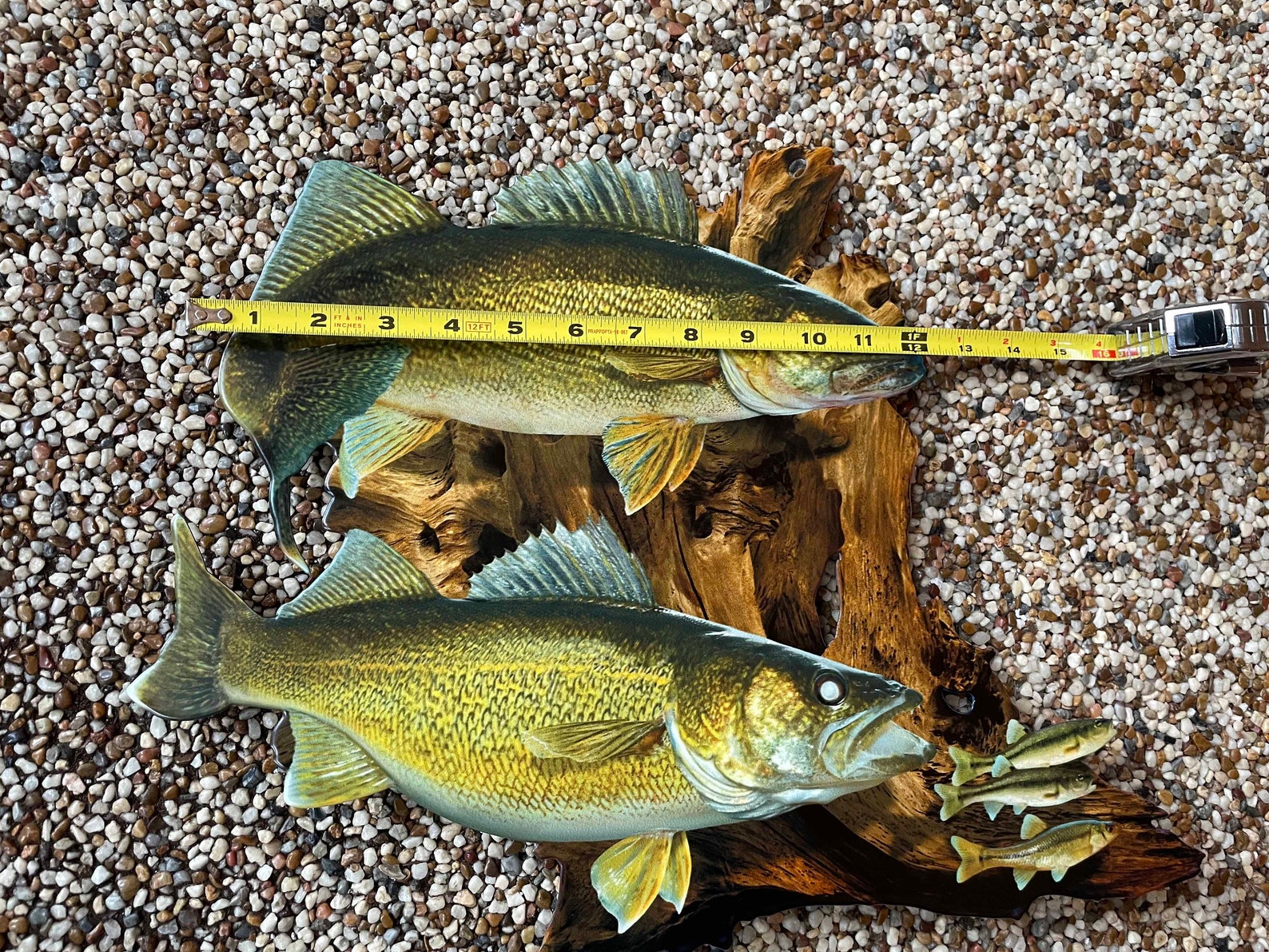 Walleye Replica Duo Wall Art - Realistic 2D Metal Walleye Driftwood ...
