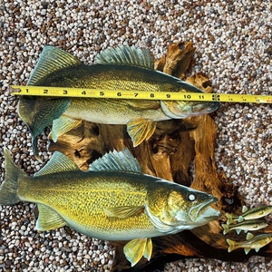Walleye Replica Duo Wall Art - Realistic 2D Metal Walleye Driftwood ...