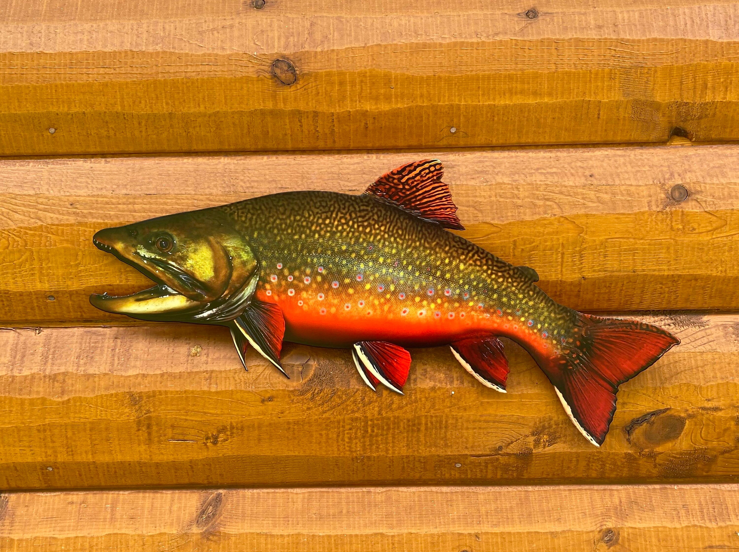 Brook Trout Replica - 23 Inch Trophy Brook Trout 2D Flat Metal Decor ...