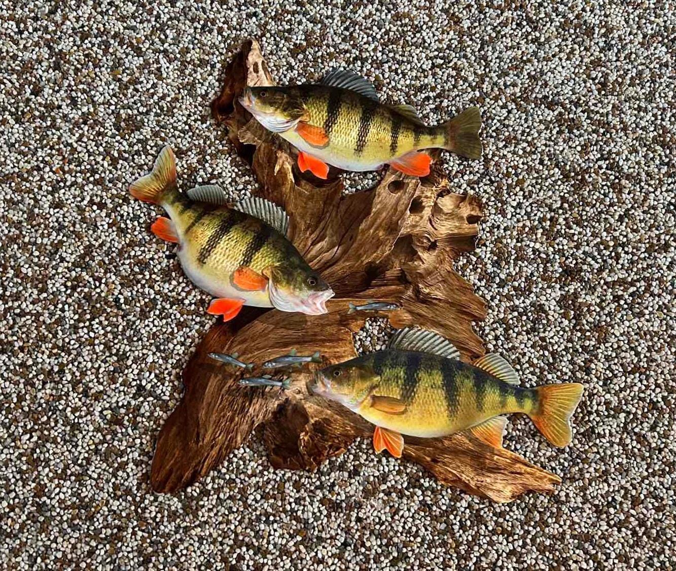 Perch Replica Trio Wall Art - 24 Inch Realistic 2D (flat) Metal Perch ...