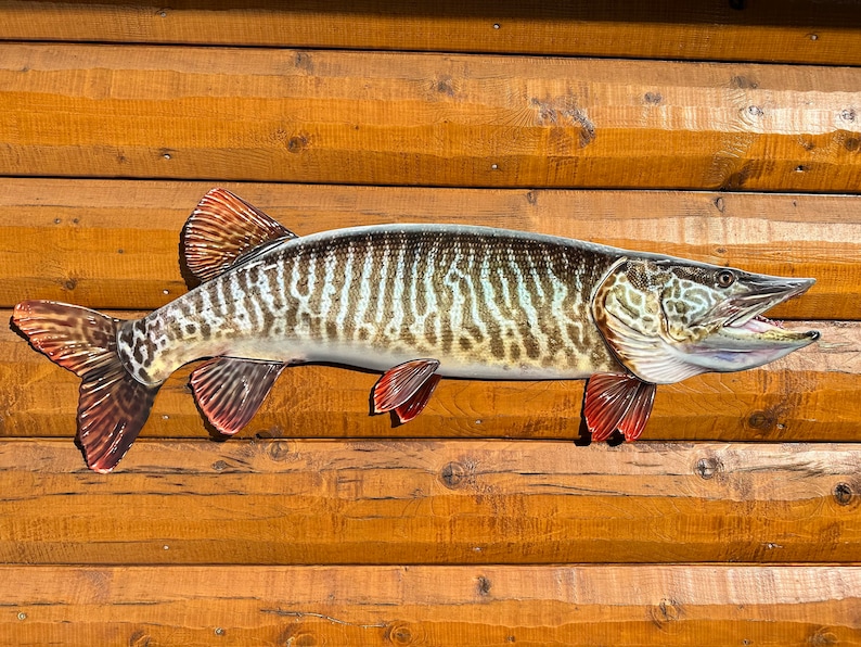 Tiger Musky Replica Wall Art - 52 Inch Flat Metal, Realistic Musky ...