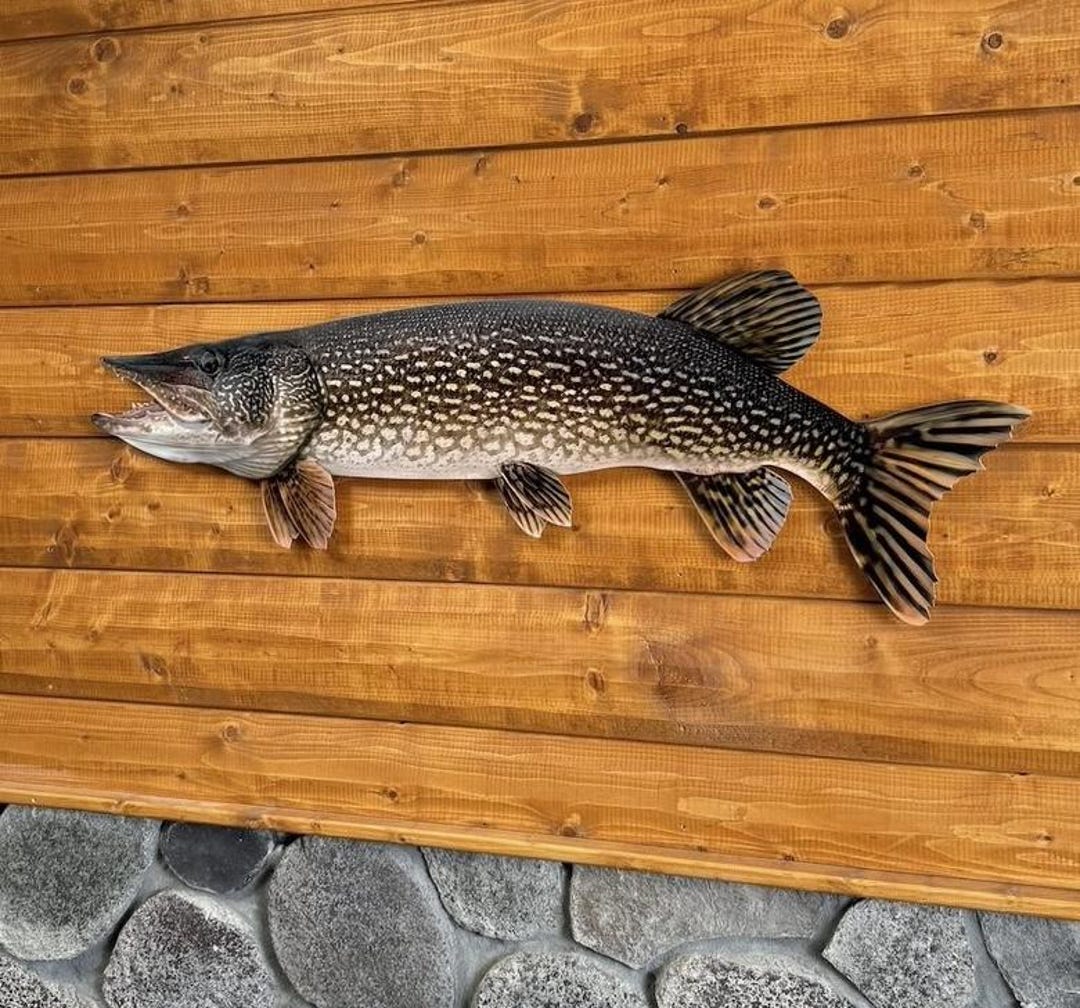 Northern Pike Replica, 2D Flat Metal Realistic Cabin Lake House Wall ...