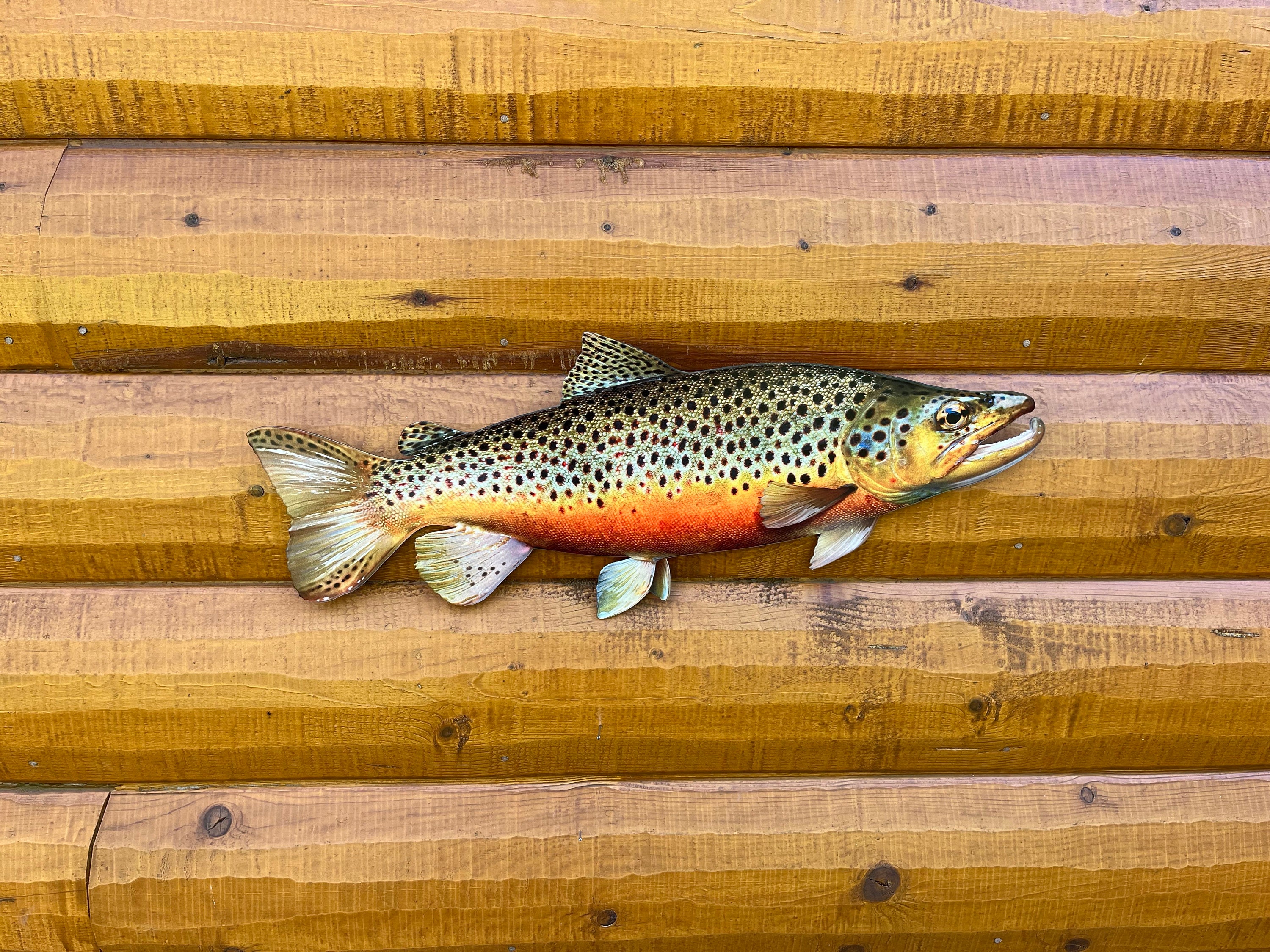 Brown Trout Replica 2D -24 Inch Realistic Brown Trout Wall Art, Rustic ...