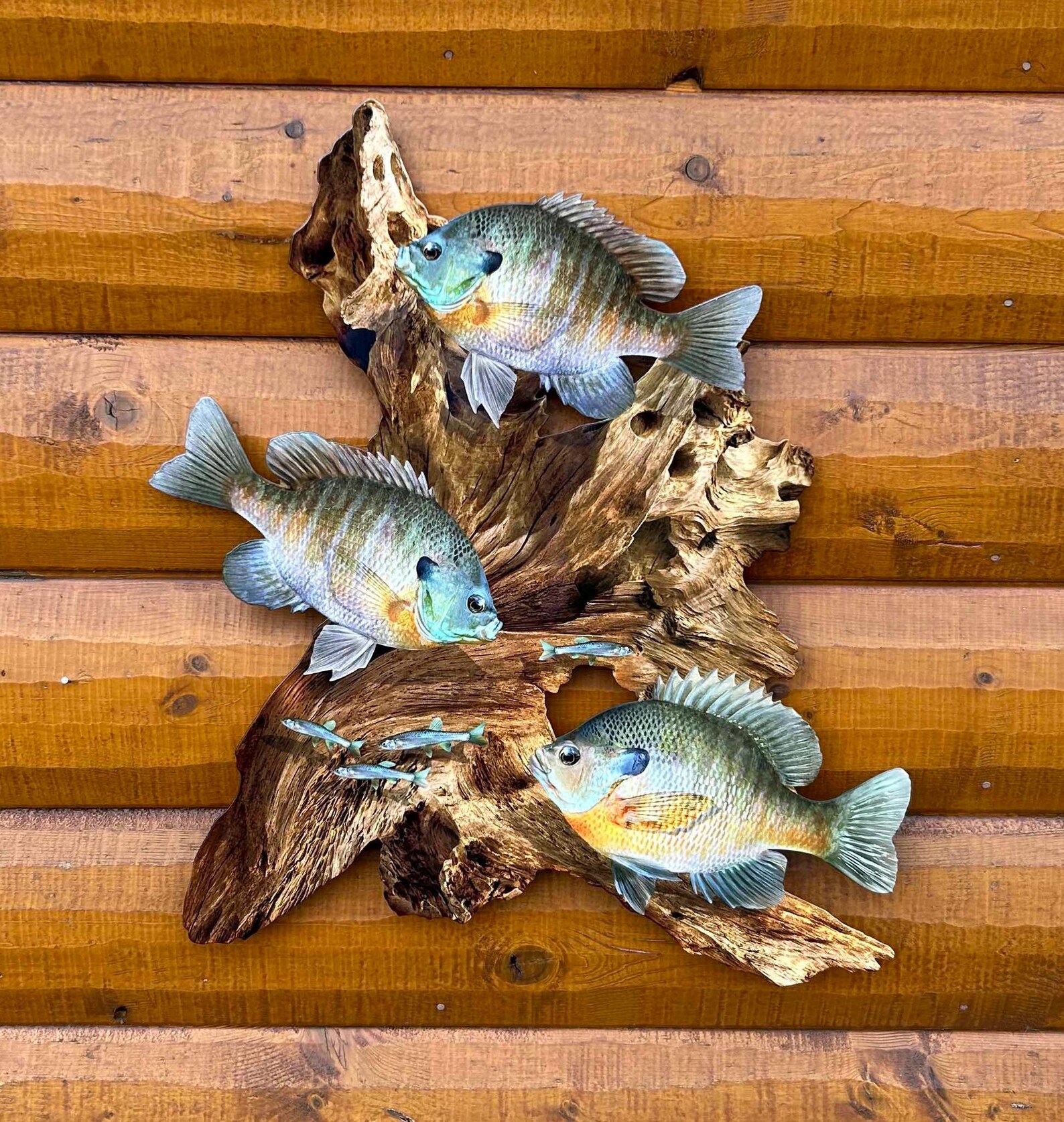 Bluegill Replica Driftwood Scene Rustic Home Decor, 2D Flat Metal, Lake ...