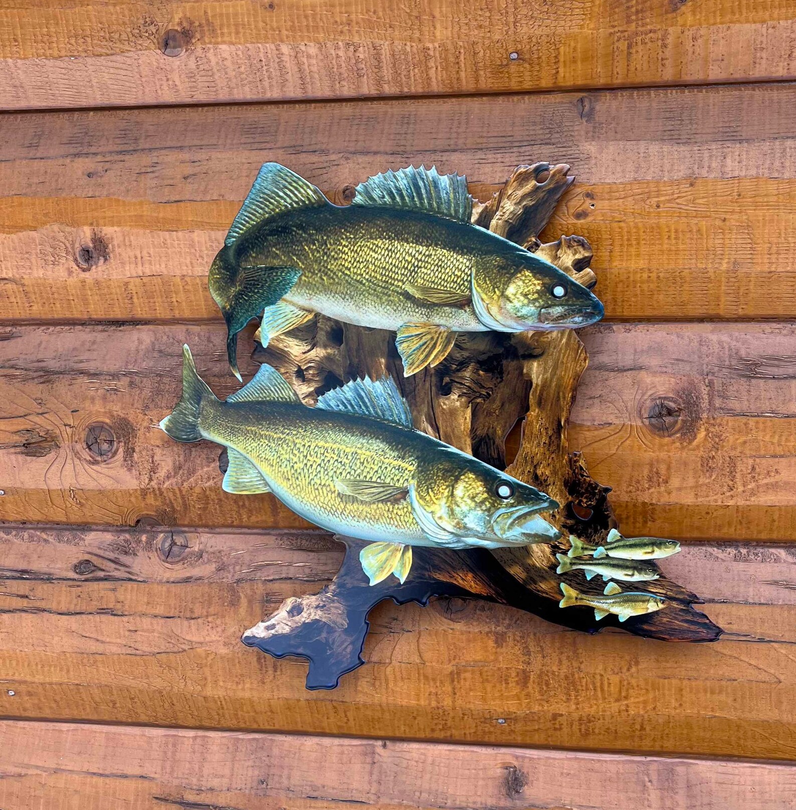 Walleye Replica Duo Wall Art - Realistic 2D Metal Walleye Driftwood ...